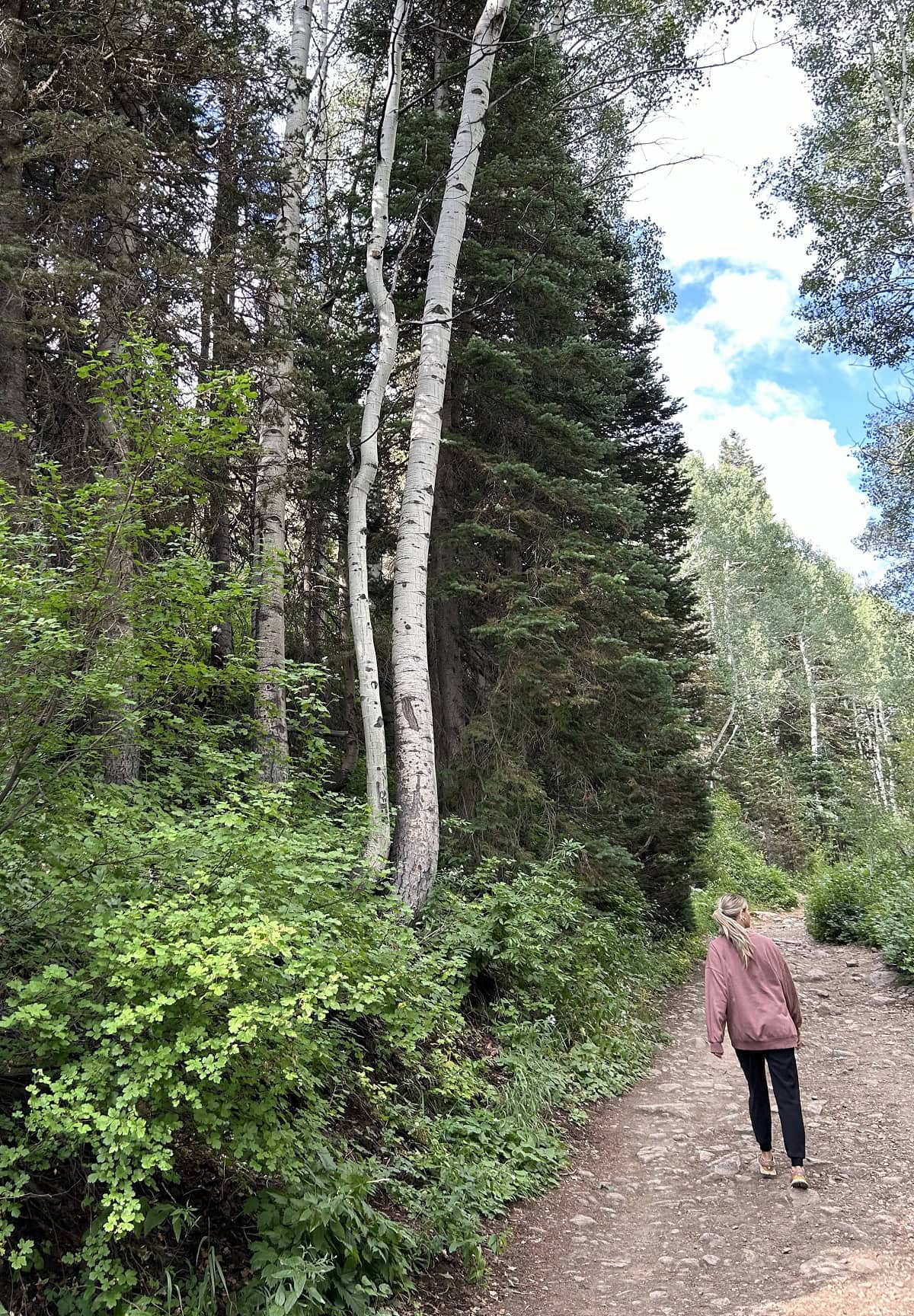 Utah’s Gloria Falls Trail is glorious with loved ones - Unshakable Hiker