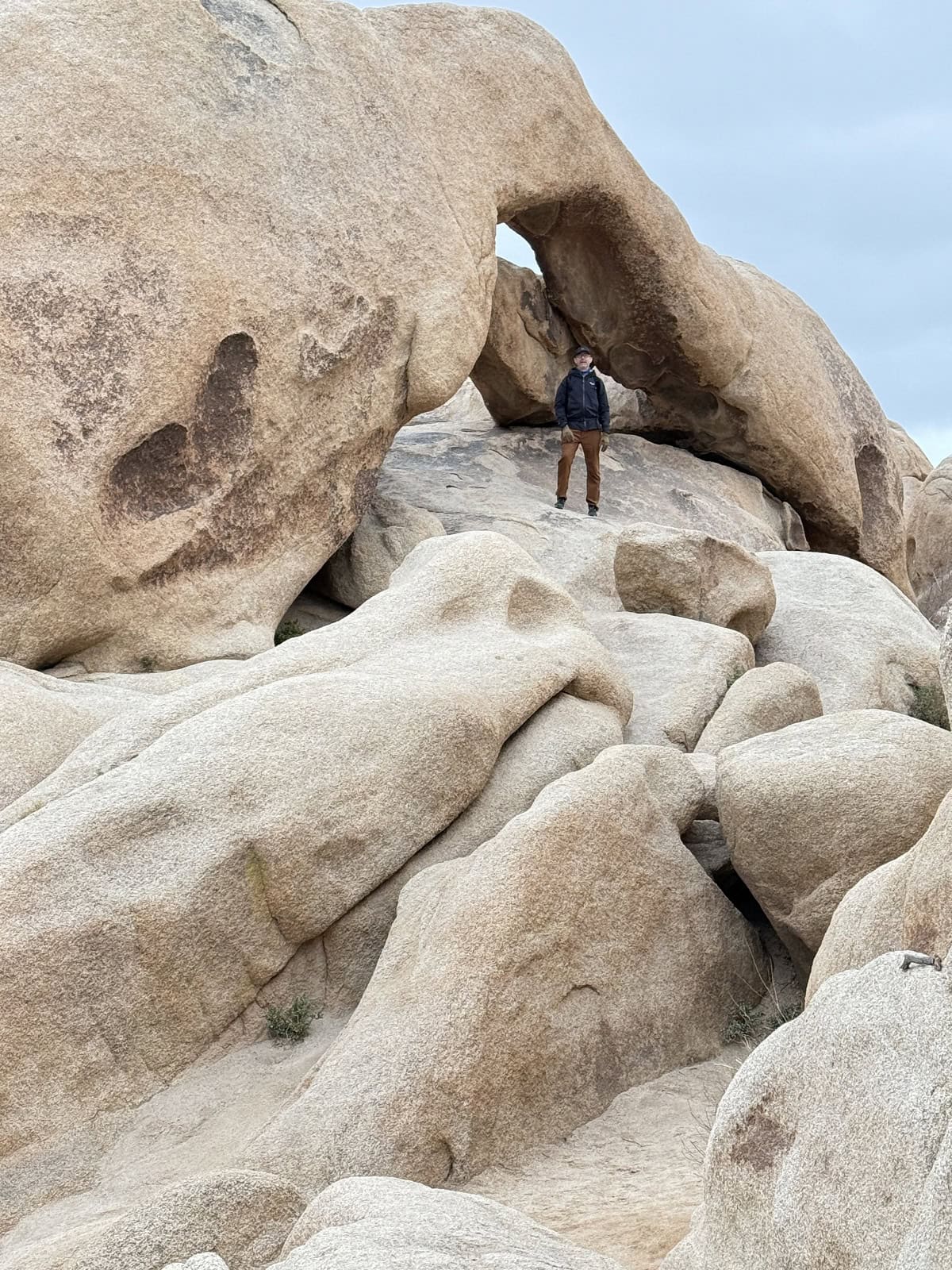 An easy hike to Arch Rock at Joshua Tree NP - Unshakable Hiker